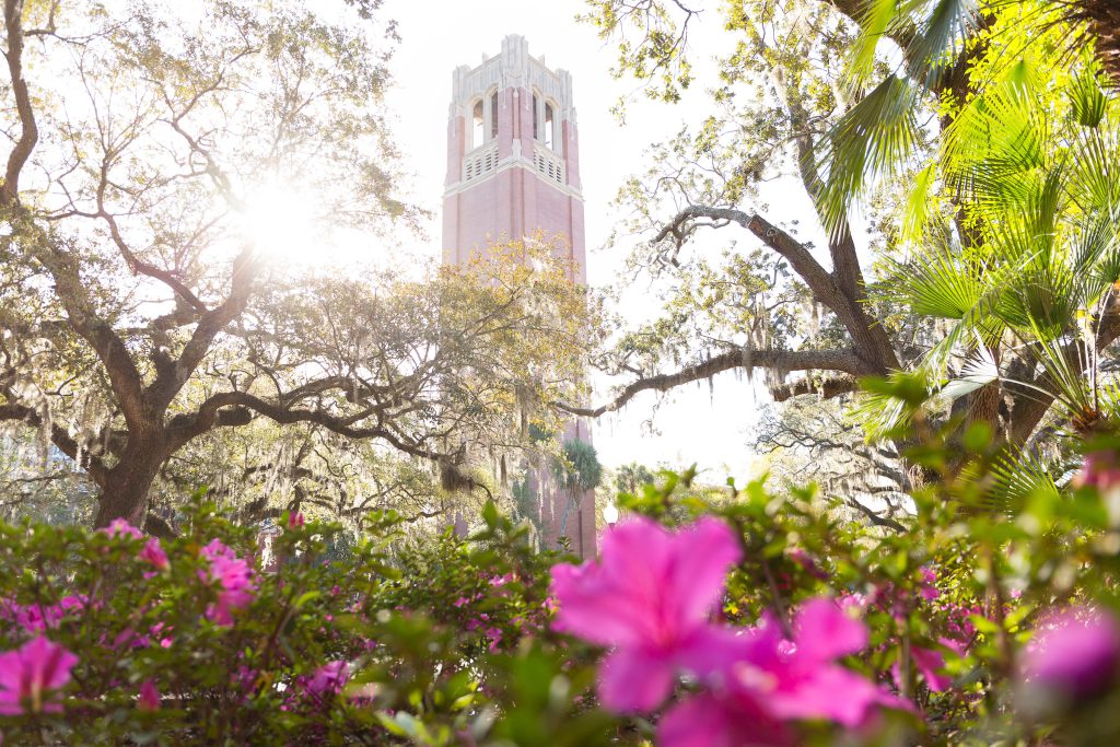 UF Online Ranked No. 1 Online College Program and in Economic Return by ...